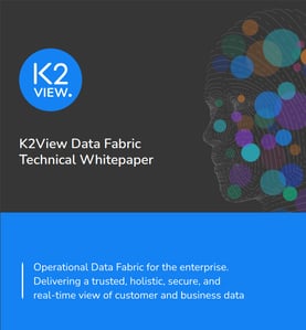 Understanding K2View Data Fabric - White Paper
